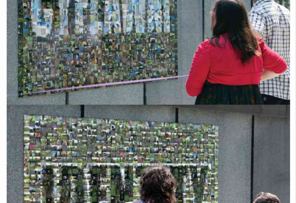 Dazzle Cardiff | Projects | Studio Response